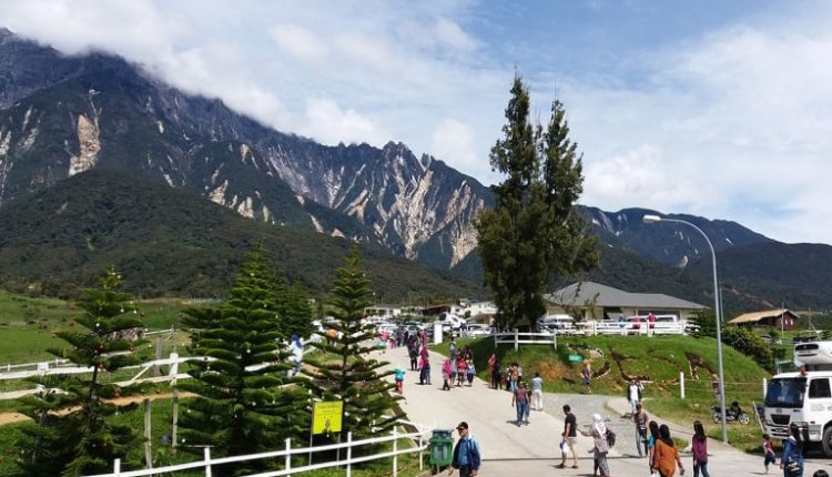Tempat Menarik Di Sabah! Desa Dairy Cattle Farm Di Kundasang, Lokasi ...